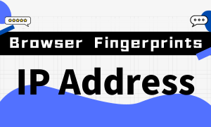 Browser Fingerprints 101: IP Address