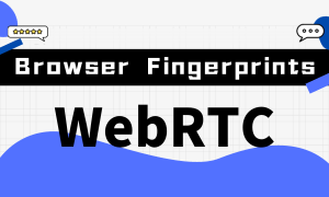 Browser Fingerprints 101: WebRTC