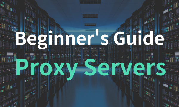 The Beginner's Guide to Proxies: Proxy Server